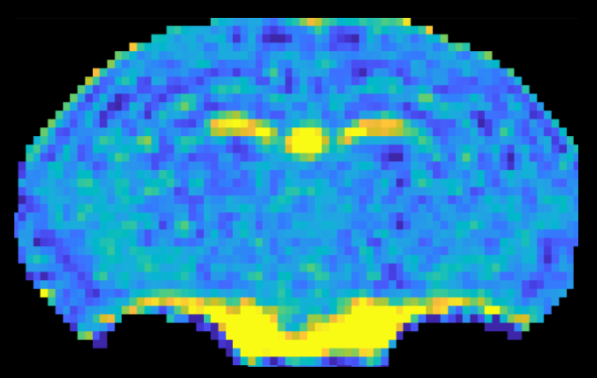 Pipeline / mouse_dmri_MT_dicomTOscalarMaps · GitLab