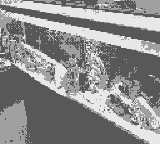 Lethal Lisa / puppywalk · GitLab